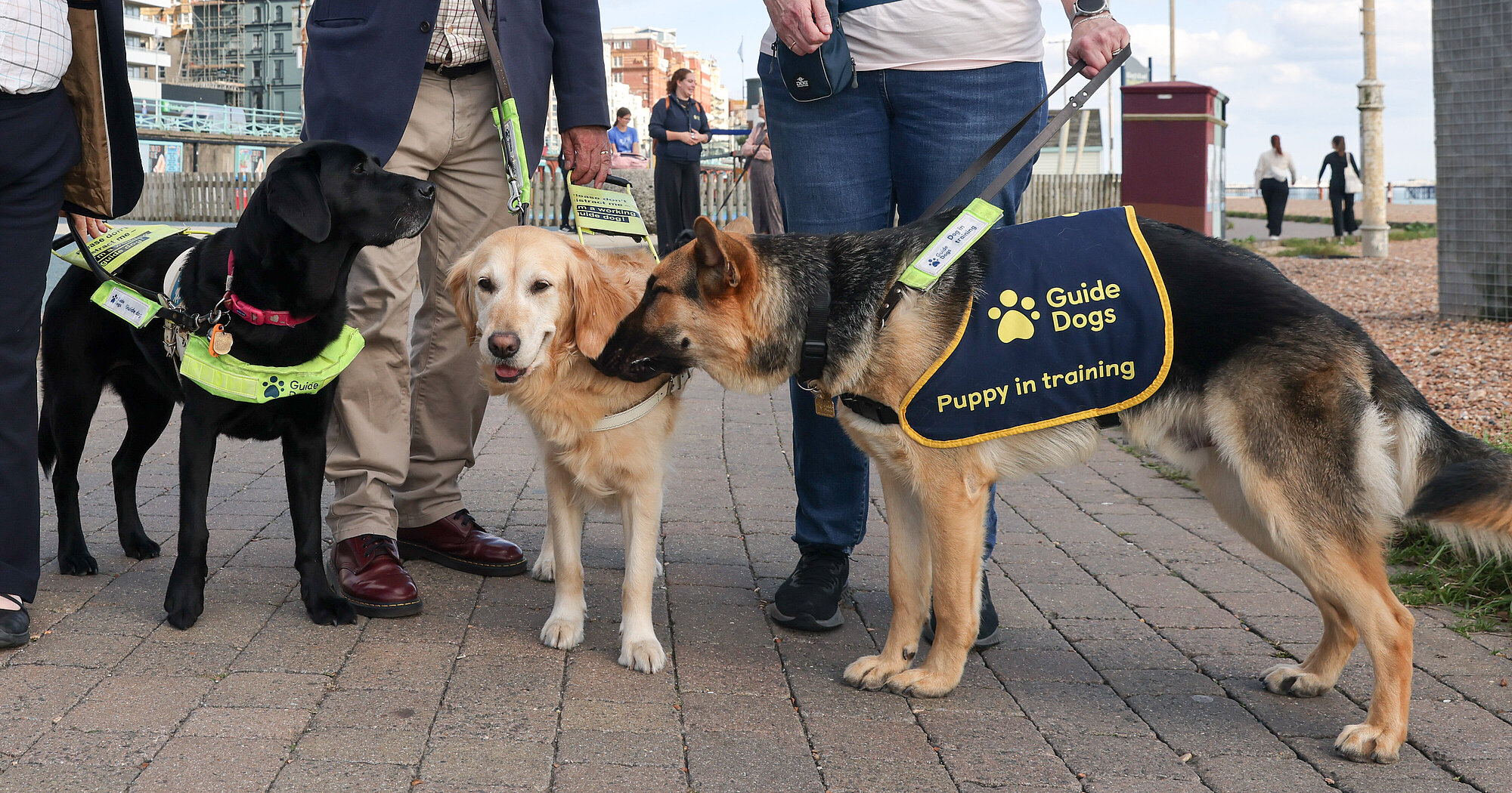 Animals Policy - Liberal Democrats