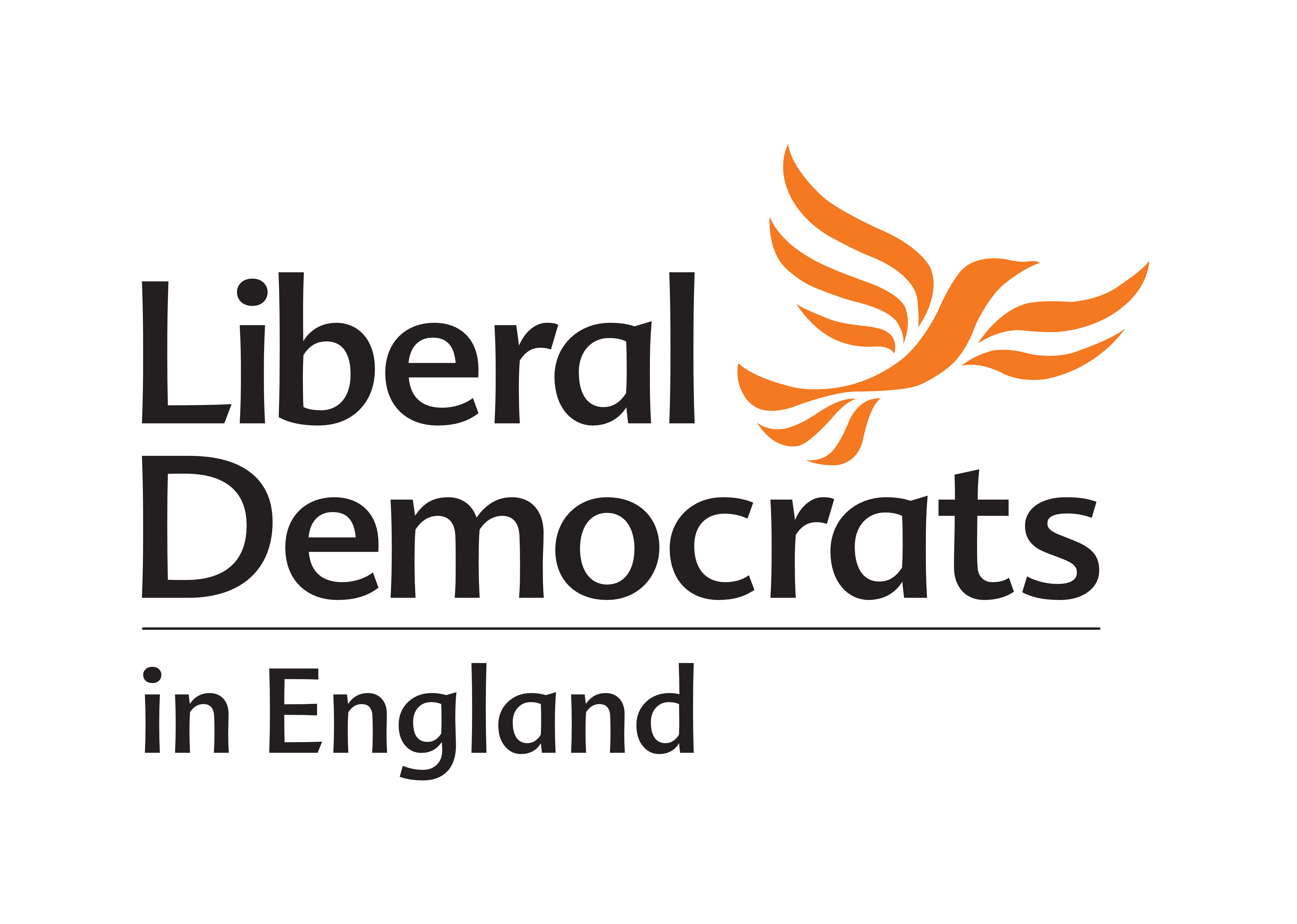 Brand Guidelines - Liberal Democrats