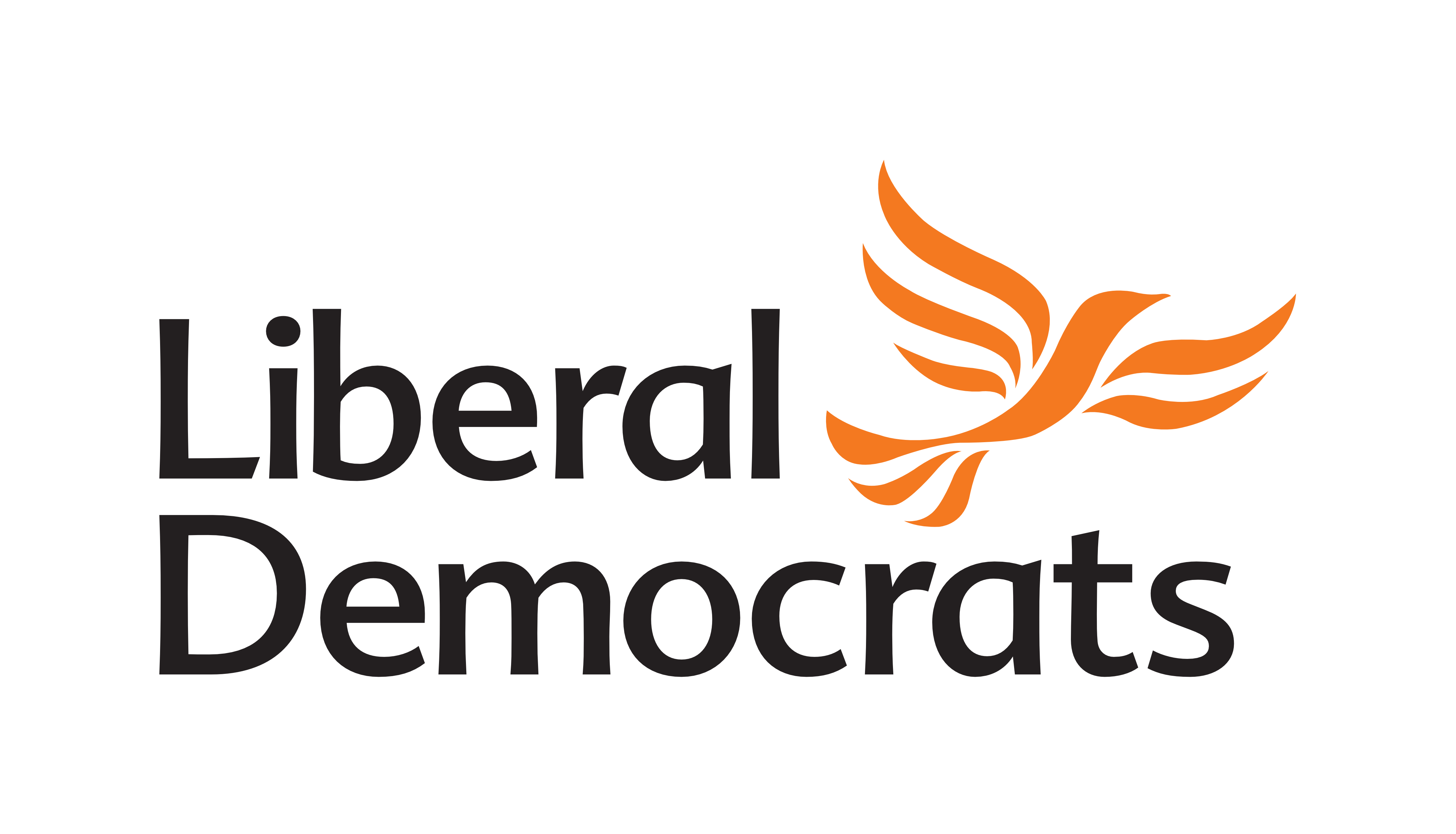 Brand Guidelines - Liberal Democrats